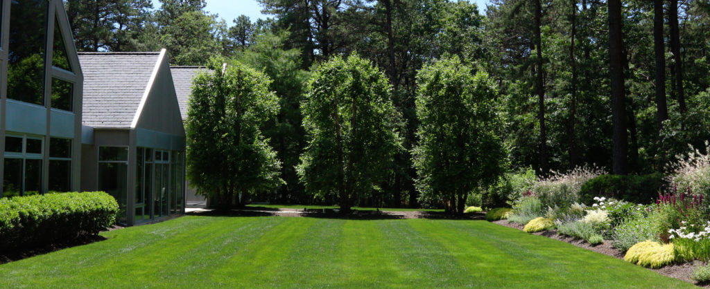 Protect Your Evergreens - Nature's Guardian, Inc.